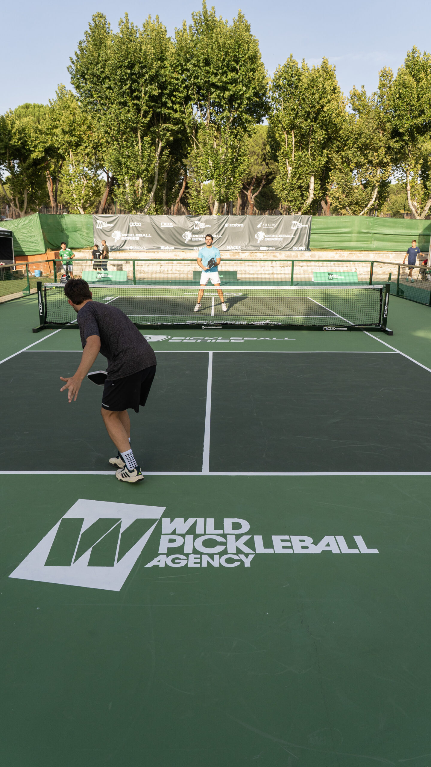 Pickleball Series Somontes II | Wild Pickleball Madrid 2025